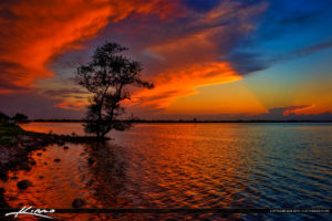 Lone Mangrove Sunset at Stuart Florida - Royal Stock Photo