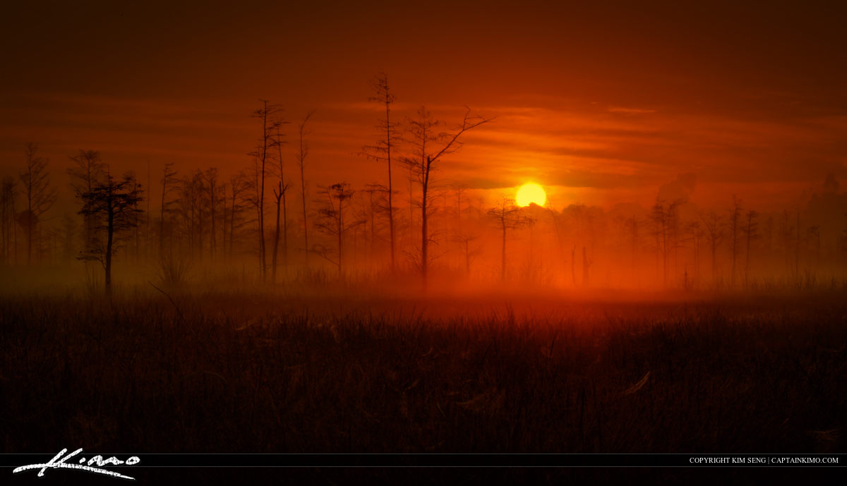 Burning Sun Engulfing Wetlands in Florida | Royal Stock Photo