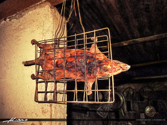 Roasted BBQ Rat for Dinner Thailand | Royal Stock Photo