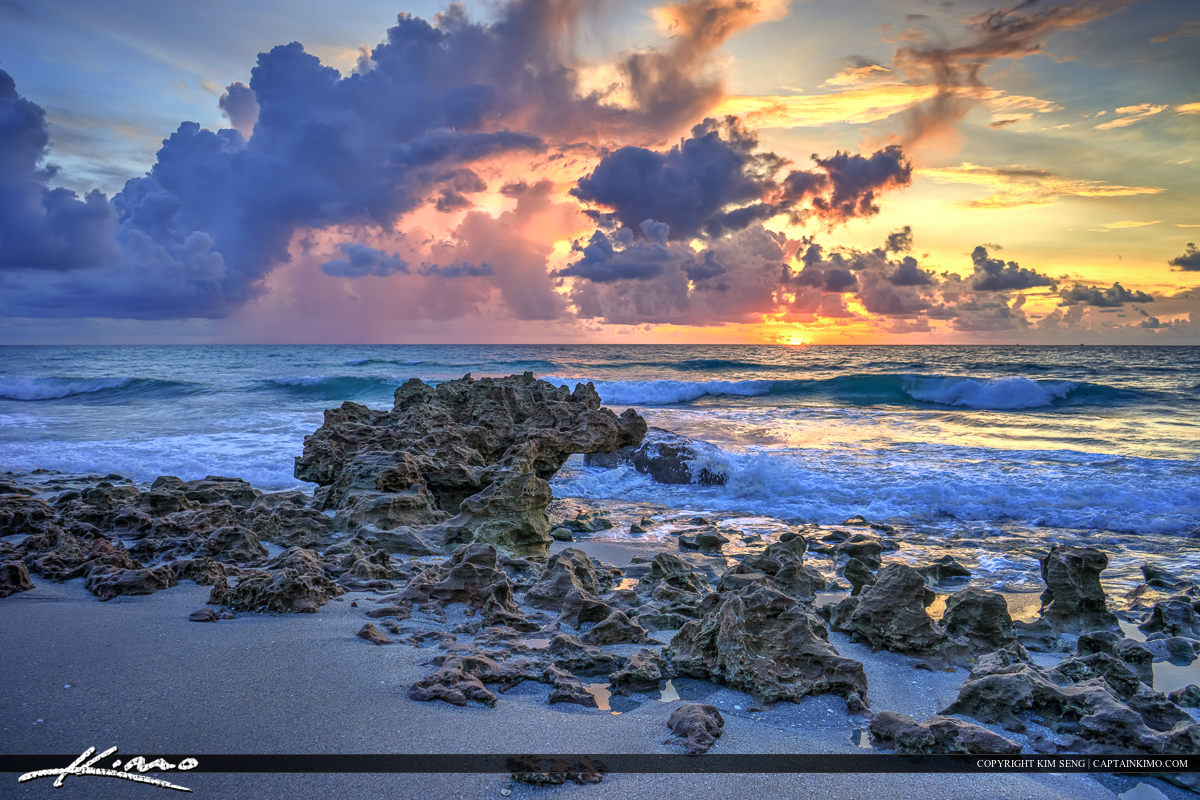 Summer 2020 Top 10 Amazing Experiences At The Coral Beach