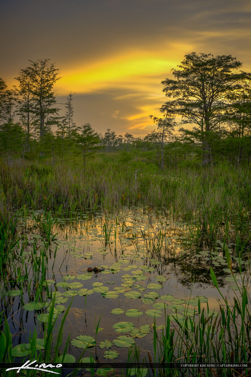 Peace Warm Sunset Florida Wetlands | Royal Stock Photo