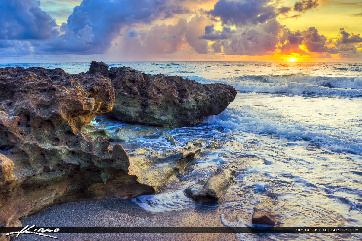 Coral Rocks at Park in Tequesta Florida | Royal Stock Photo