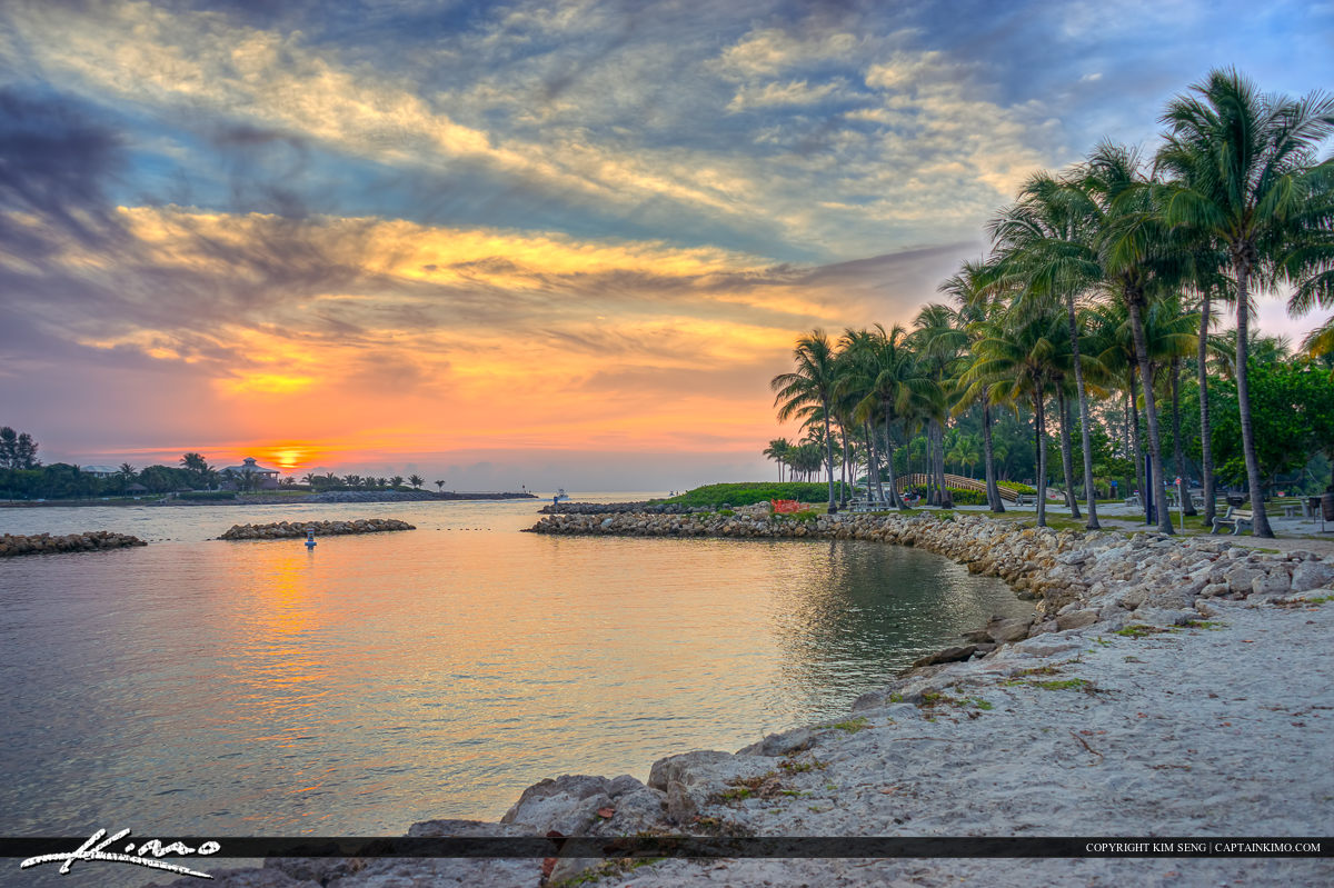 Dubois Park Coconut Tree at Sunrise by Inlet | Royal Stock Photo