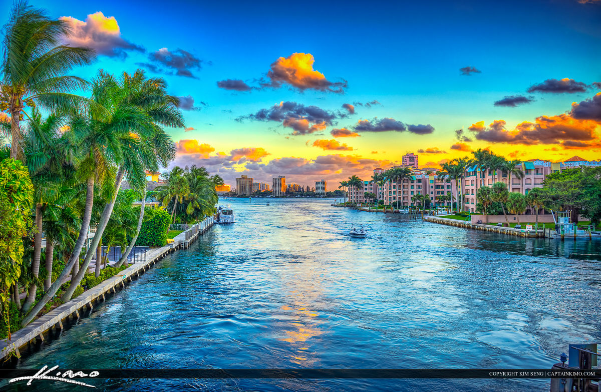 Boca Raton Waterway Coconut Palm Trees | Royal Stock Photo