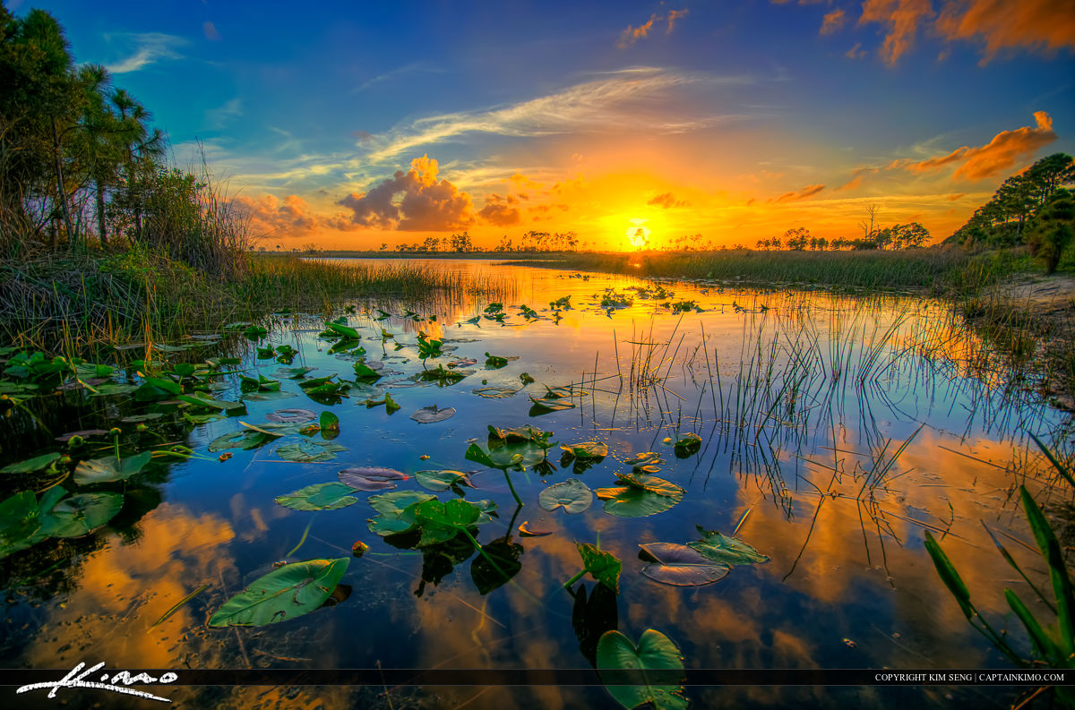 Sunset at River in Pine Glades Natural Area | Royal Stock Photo
