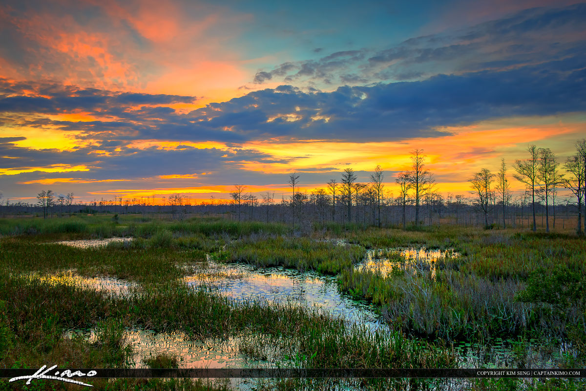 Florida Sunset Over Wetlands at the Loxahatchee Slough | Royal Stock Photo