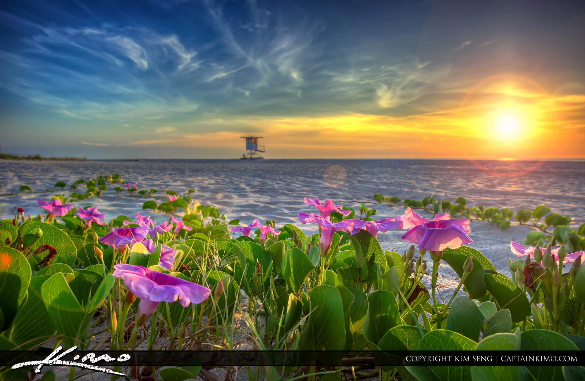 Wallpaper Sunrise Morning Glow Free Stock Photo Of Sunrise Over Lush