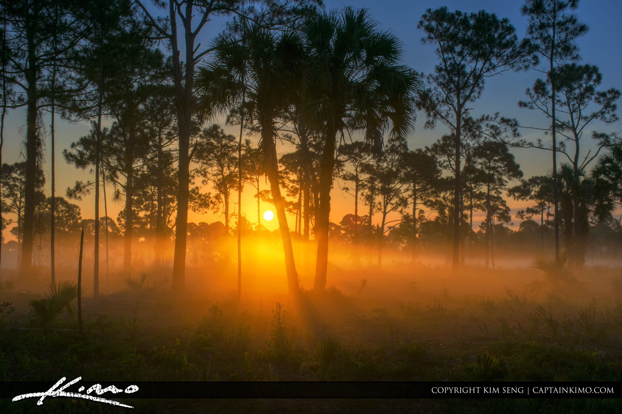Sunrise Winding Waters Natural Area Florida Landscape - Royal Stock Photo