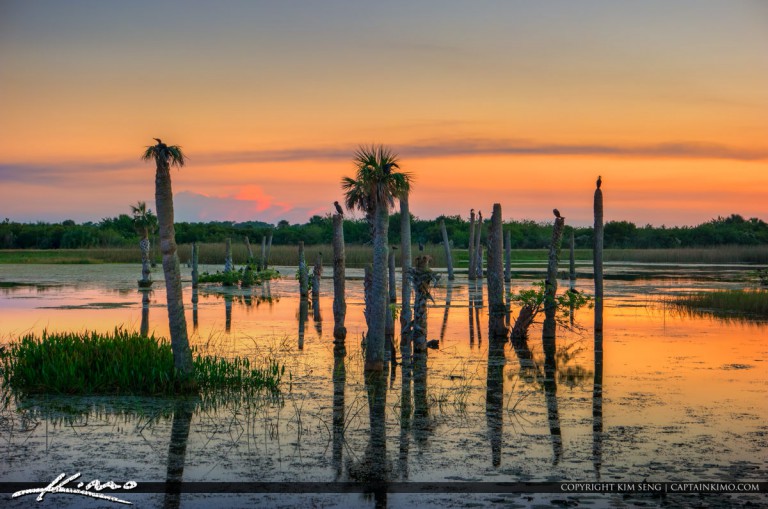 Viera Wetlands Melbourne Florida Sunset | Royal Stock Photo