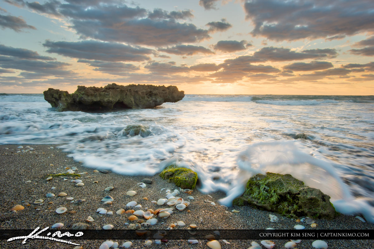 Coral Cove Wave Splash Small | Royal Stock Photo