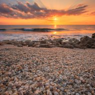 seashell | Royal Stock Photo