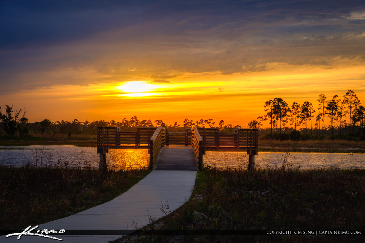 Pine Glades Natural Area Sunset Jupiter Florida | Royal Stock Photo