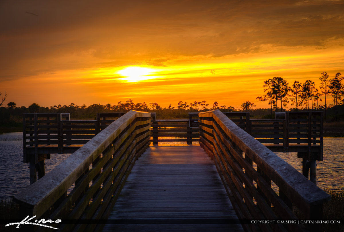 Pine Glades Natural Area Sunset Jupiter Florida | Royal Stock Photo