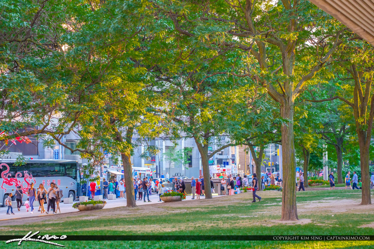 Toronto Canada Ontario Downtown at Park | Royal Stock Photo