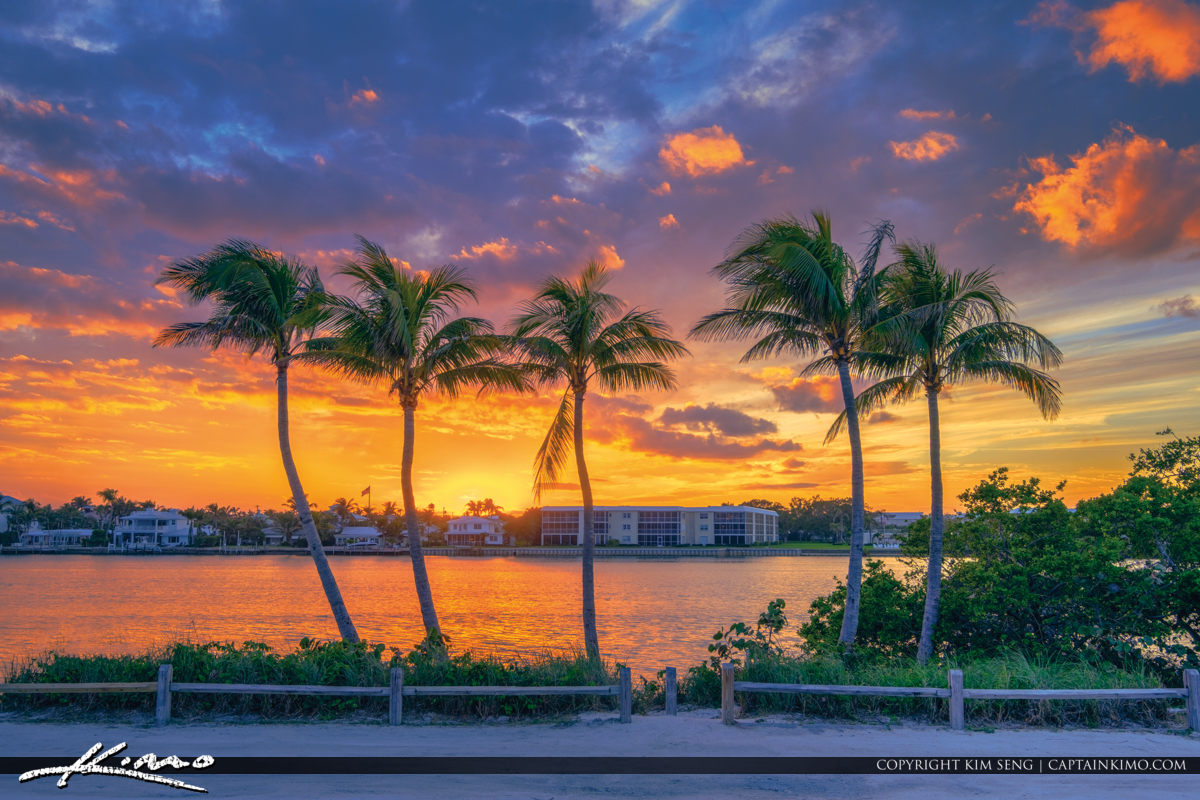 Five Coconut Tree Sunset Jupiter Island Florida | Royal Stock Photo