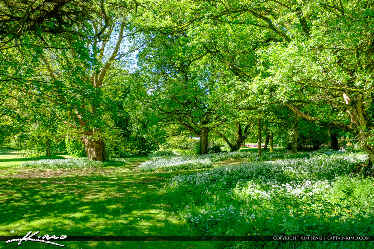 Blarney Stone Cork Ireland Beautiful Green Garden | Royal Stock Photo