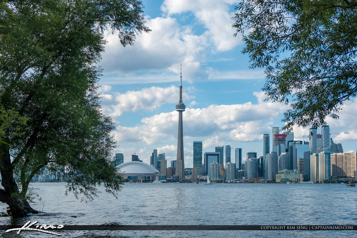Between Trees Centre Island Toronto Ontario Canada | Royal Stock Photo