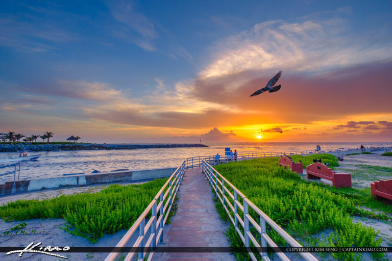 Jupiter Inlet Sunrise at the Jetty with Pigeon | Royal Stock Photo