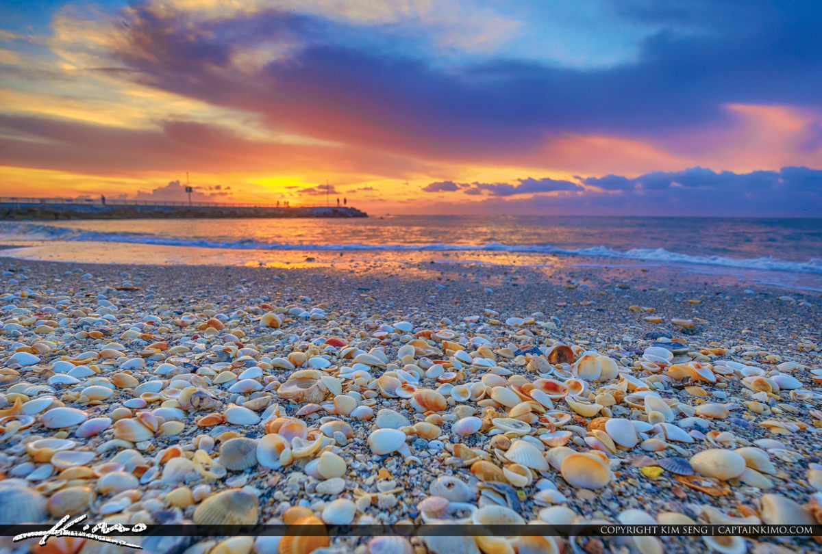 Jupiter Inlet Seashells Sunrise at the Jetty | Royal Stock Photo