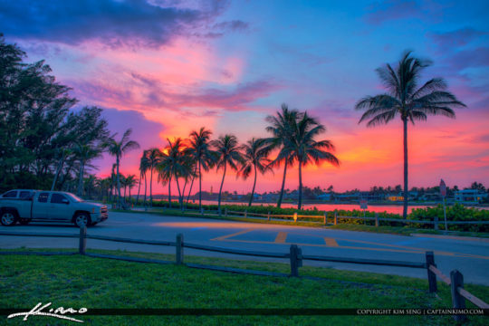 Jupiter Inlet Parking Lot at Sunset by Coconut Trees | Royal Stock Photo