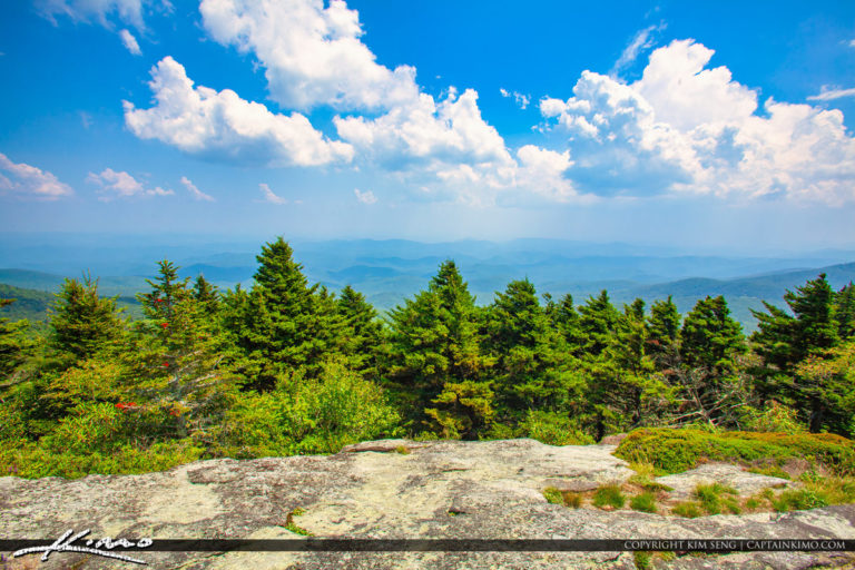 Grandfather Mountain State Park Banner Elk North Carolina Pine T ...