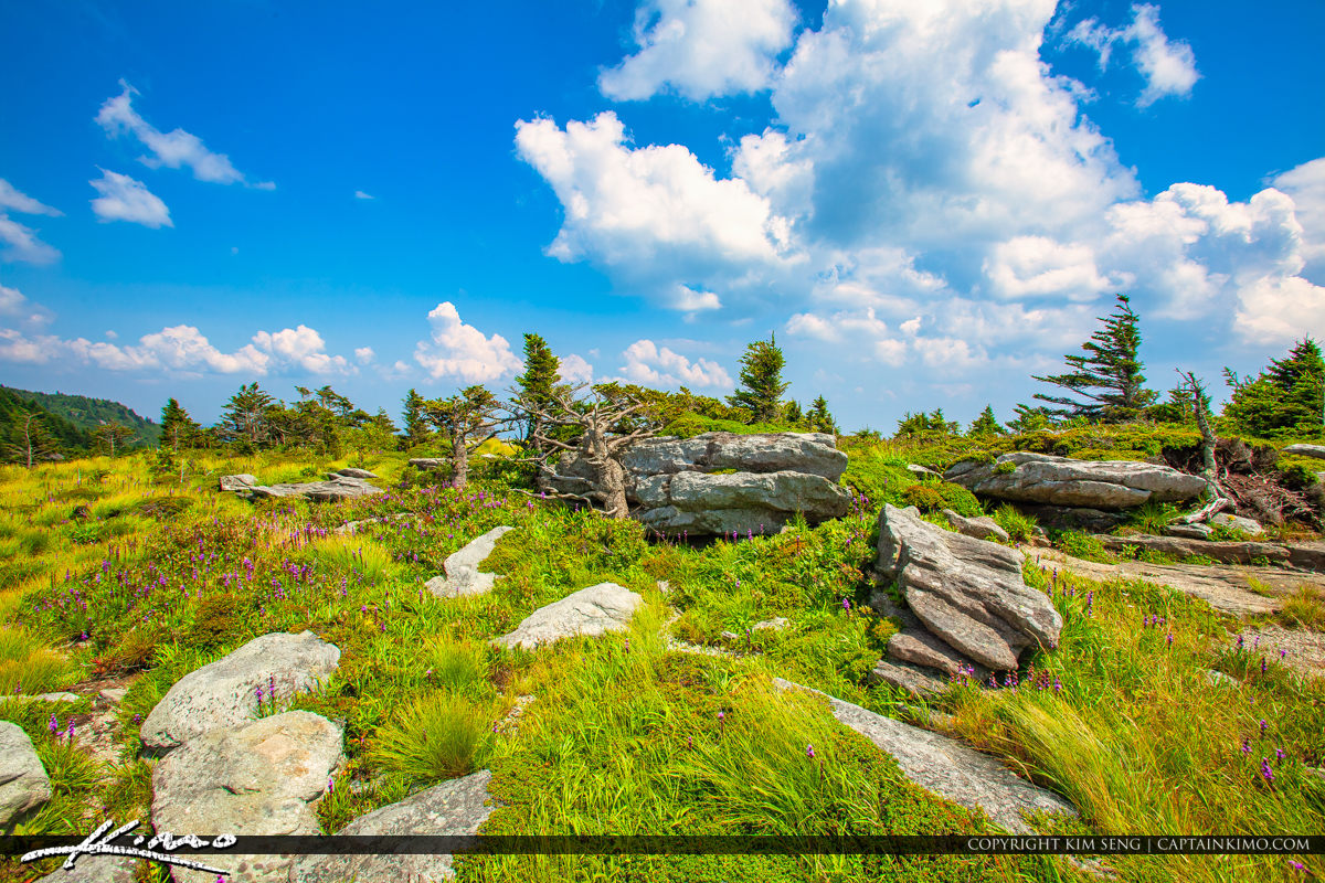 Grandfather Mountain State Park Banner Elk North Carolina Green | Royal ...