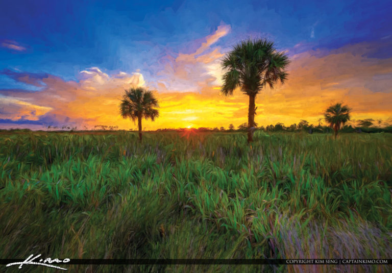 Florida Landscape Painting Art | Royal Stock Photo