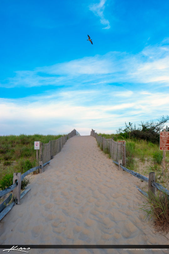 Delaware National Seashore South Inlet | Royal Stock Photo