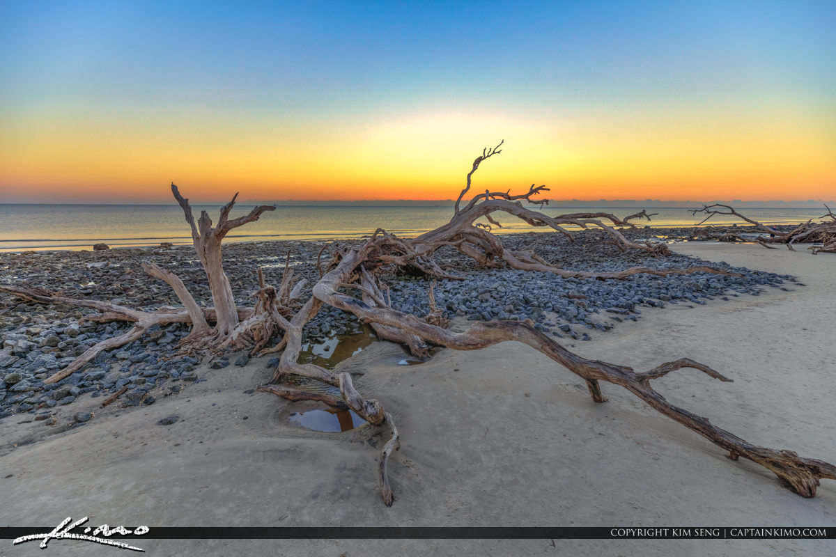 Nice view Sunrise at Driftwood Beach | Royal Stock Photo