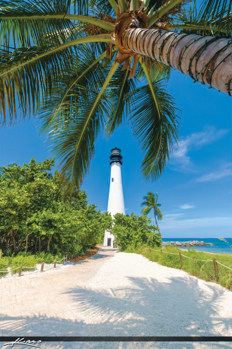 Cape Florida Lighthouse Key Biscayne Florida Under Coconut Tree | Royal ...