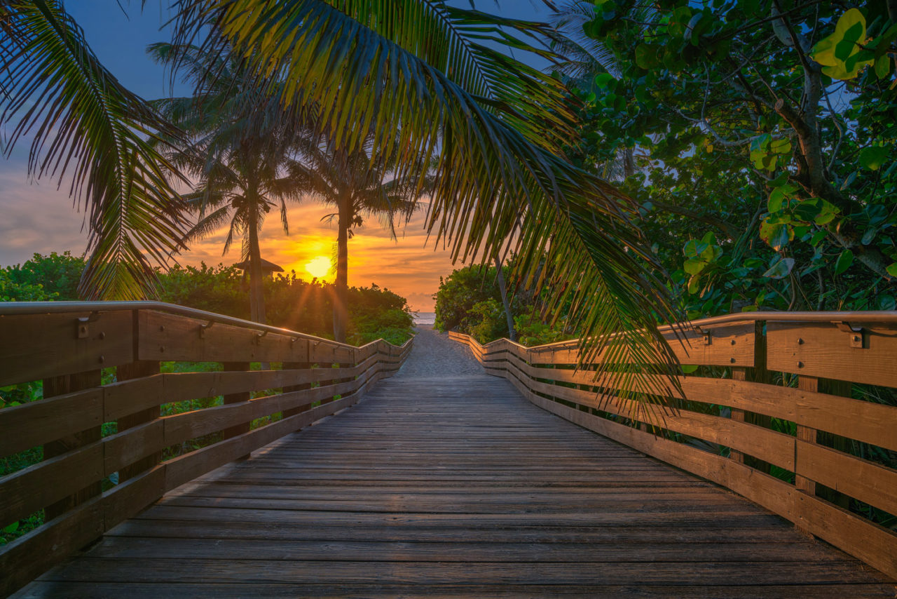 ocean reef park | Royal Stock Photo