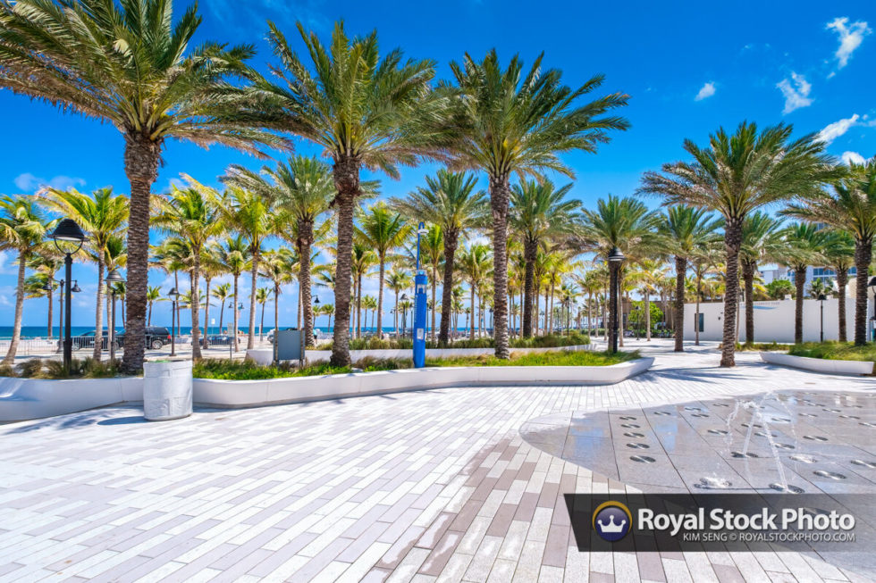Palm Trees at Beach Las Olas Oceanside Beach Fort Lauderdale | Royal ...