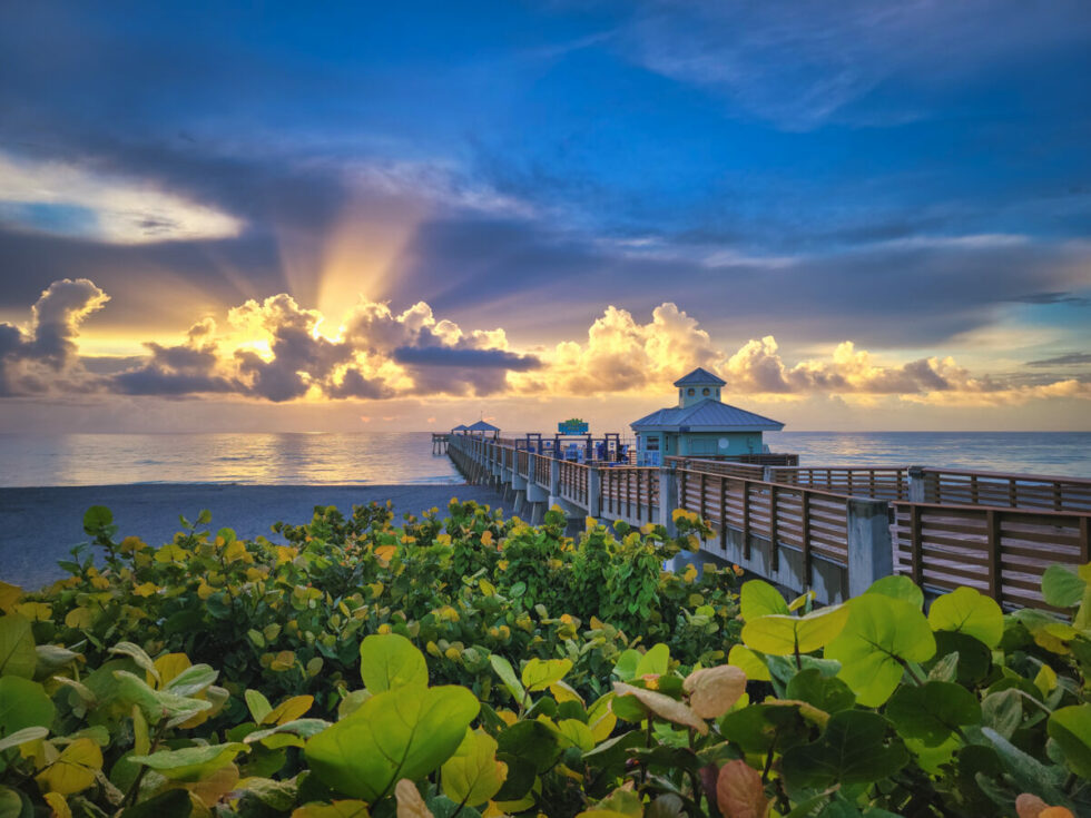 Juno Beach Pier Sunrise July 1st 2021 | Royal Stock Photo