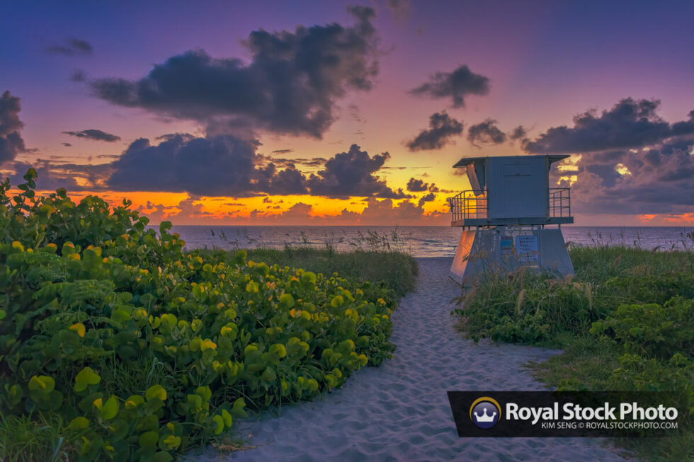 Hobe Sound | Royal Stock Photo
