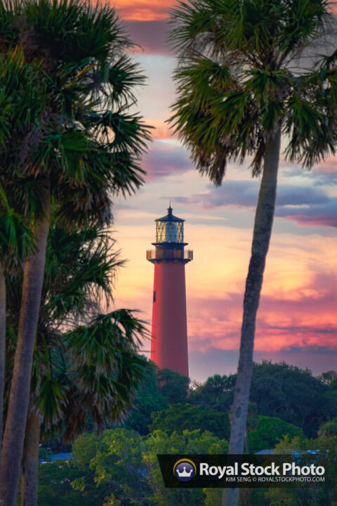 Jupiter Lighthouse Palm Trees Dubois Park | Royal Stock Photo