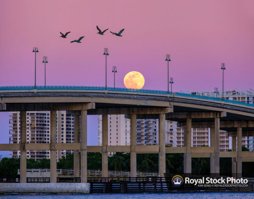 Blue Heron Bridge Singer Island Fullmoon Rise | Royal Stock Photo