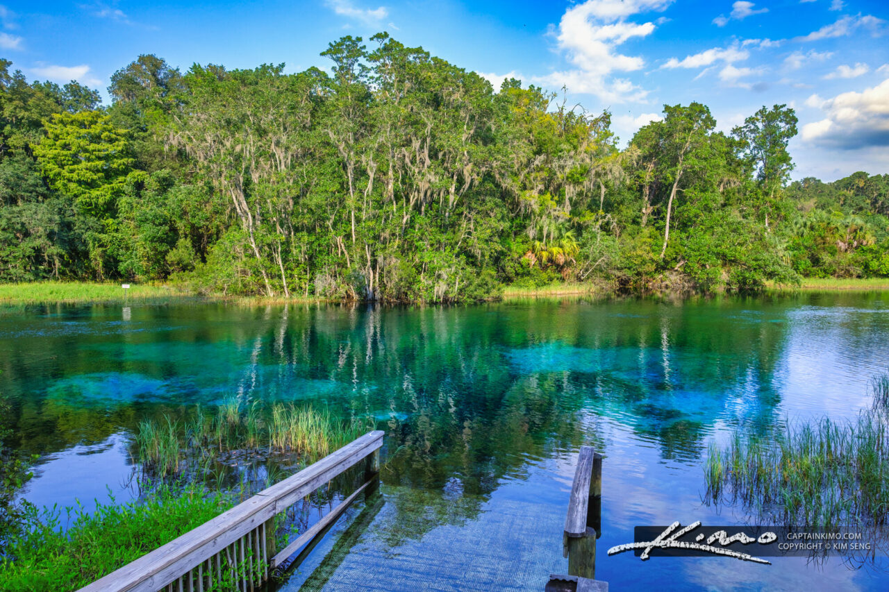 Launching Adventures Canoeing at Rainbow Springs State Park Dunn ...