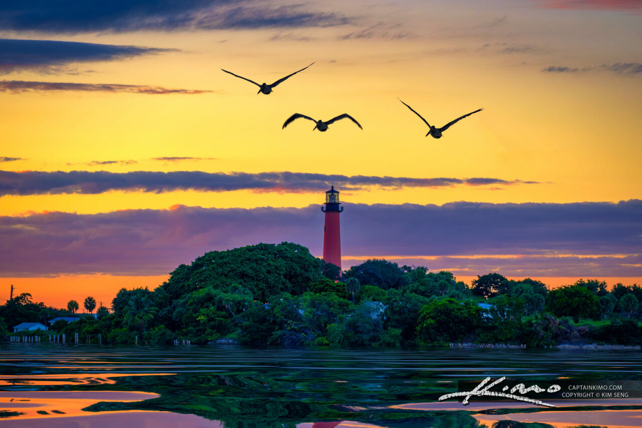 Sunset Serenade Pelicans Over Jupiter Inlet Lighthouse | Royal Stock Photo