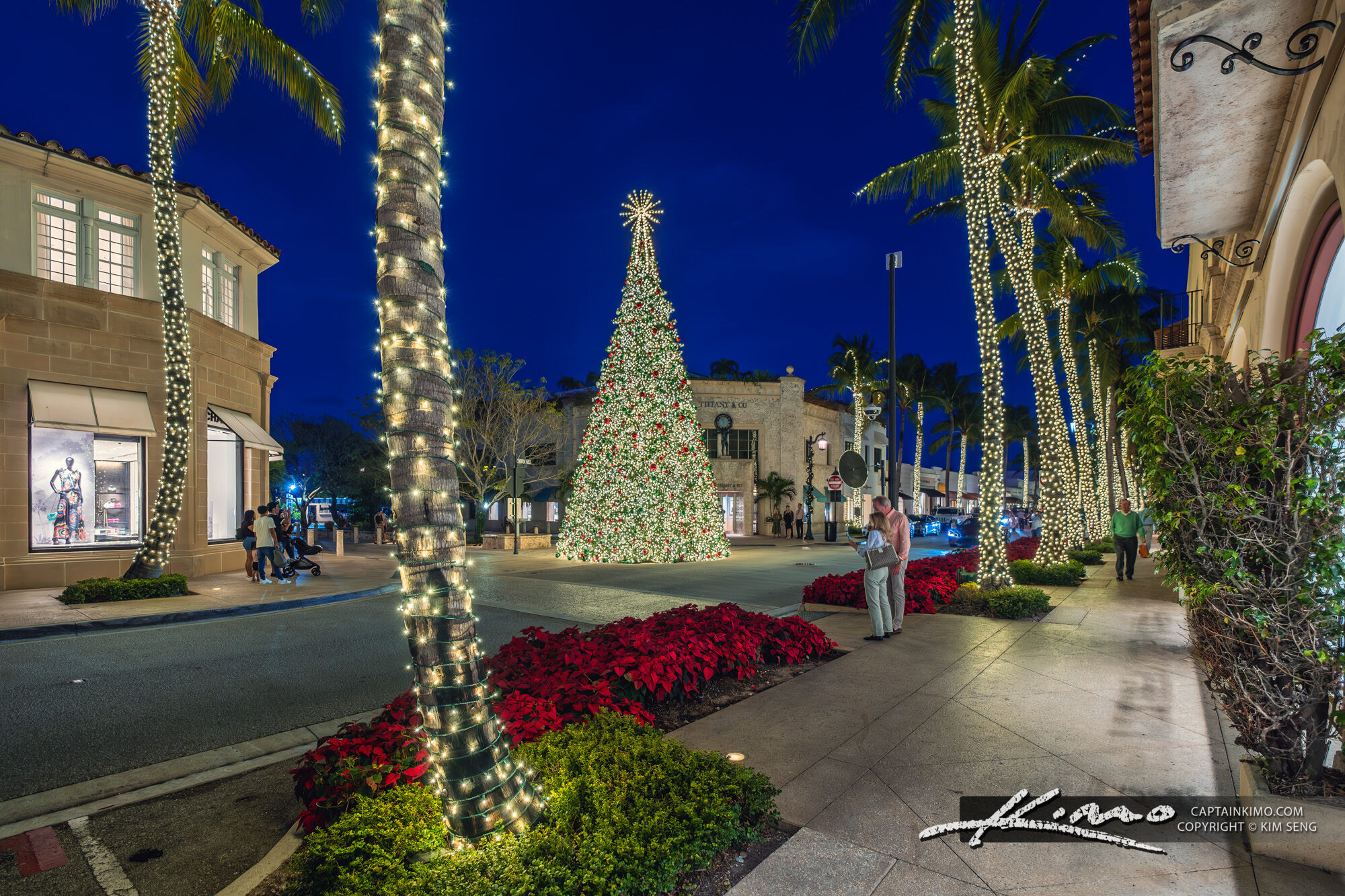 Worth Avenue Christmas Tree Palm Beach Island | Royal Stock Photo
