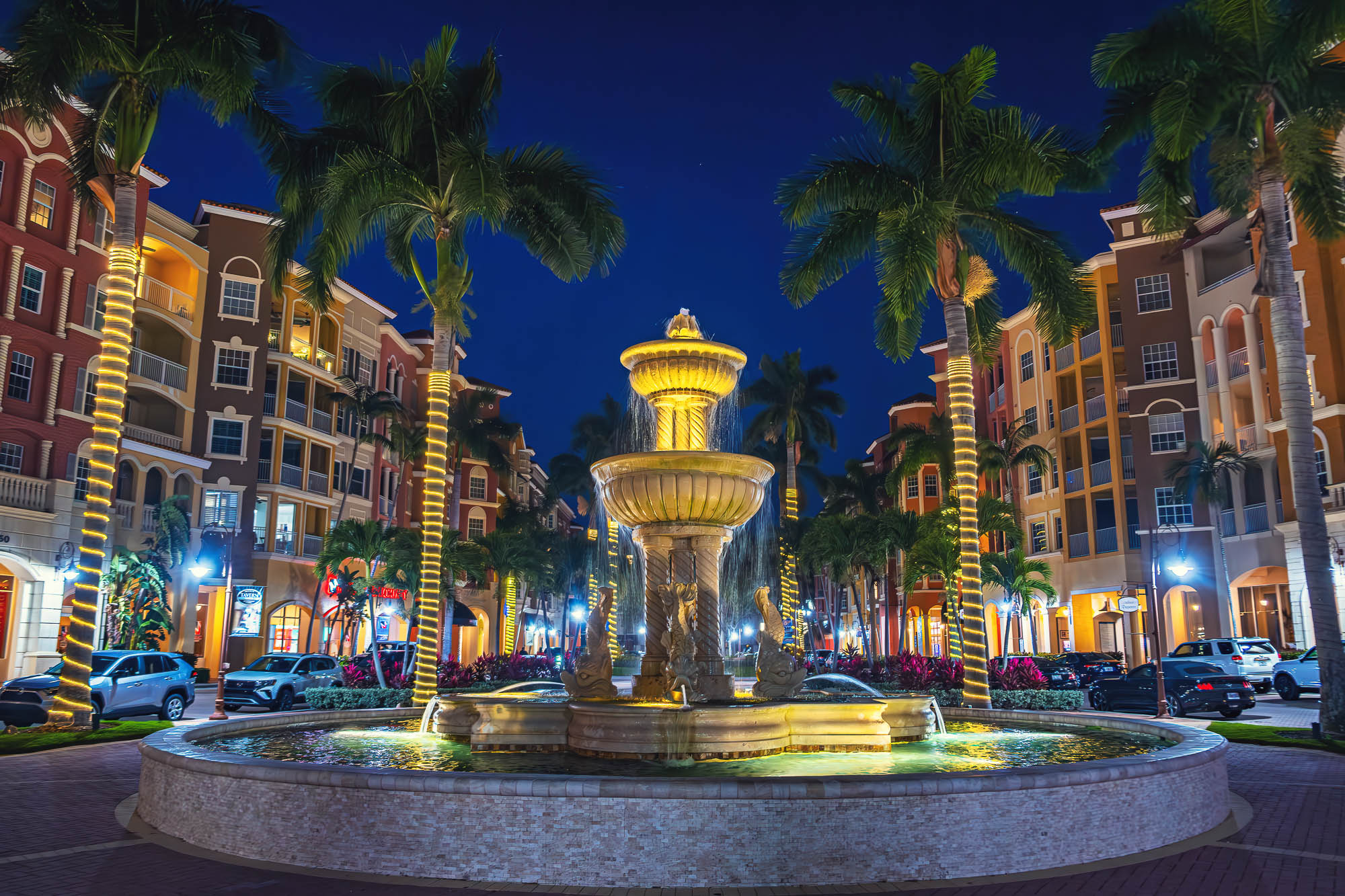 Gallery | Royal Stock Photo