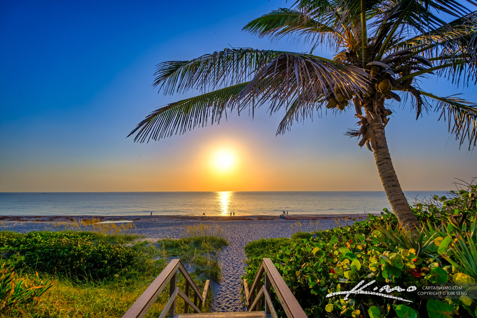 Juno Beach Sunrise Coconut Tree Beach Walk - Royal Stock Photo