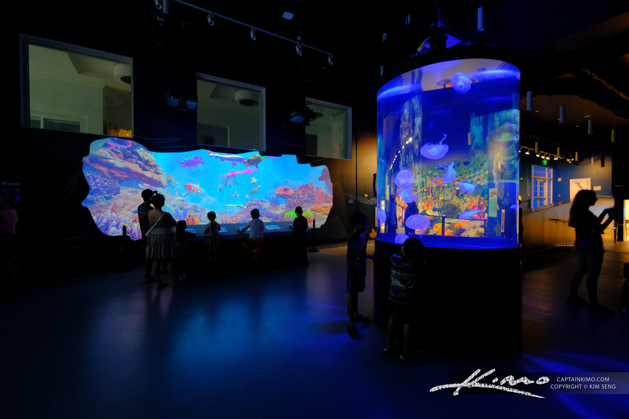 Gallery | Royal Stock Photo