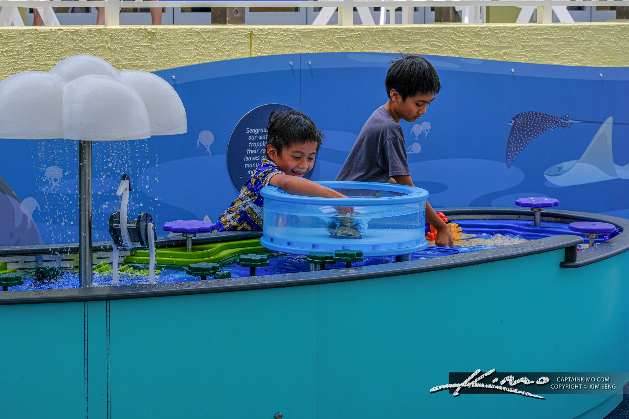 Gallery | Royal Stock Photo