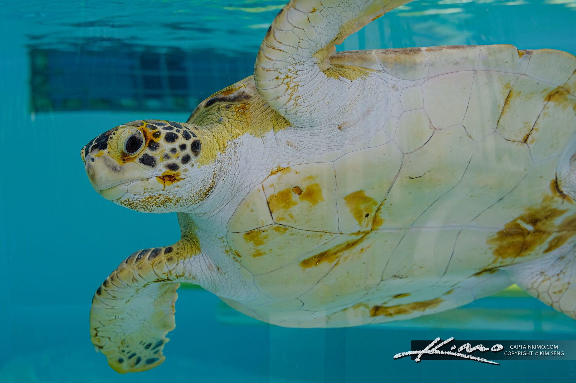 Gallery | Royal Stock Photo