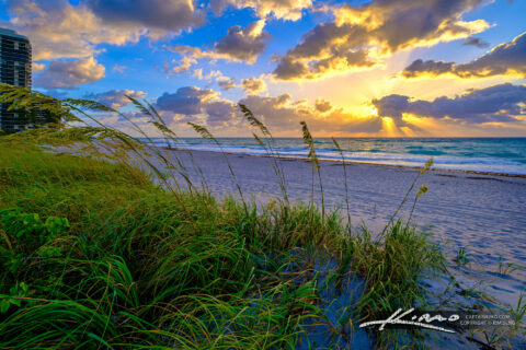 Sunrise at Singer Island Beach at Ocean Reef Park | Royal Stock Photo