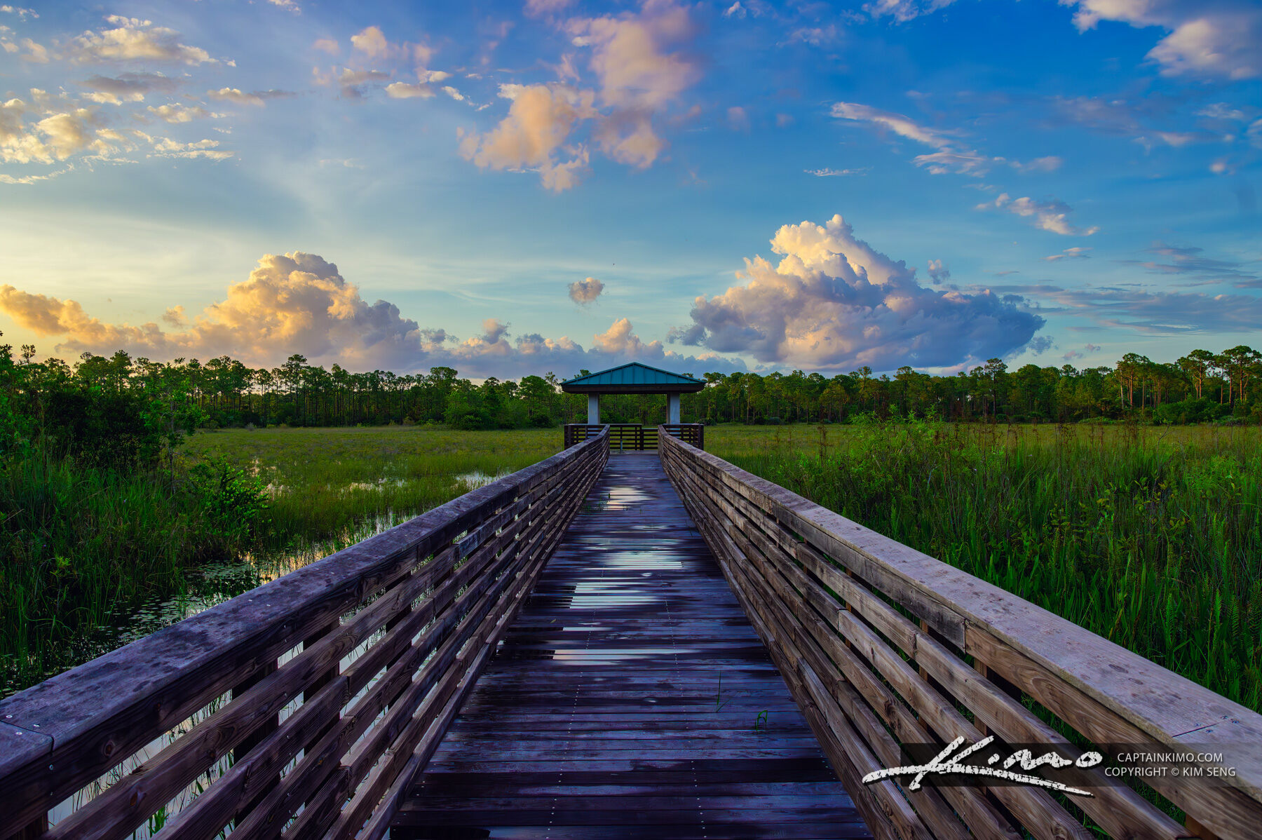 Royal Palm Beach Pines Natural Area Boardwalk to Sunset - Royal Stock Photo
