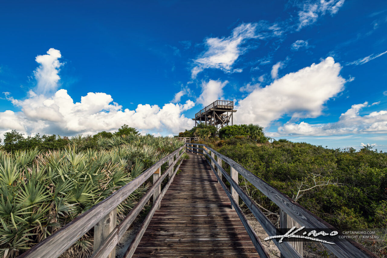 Observation Tower Boardwalk Jonathan Dickinson State Park - Royal Stock ...