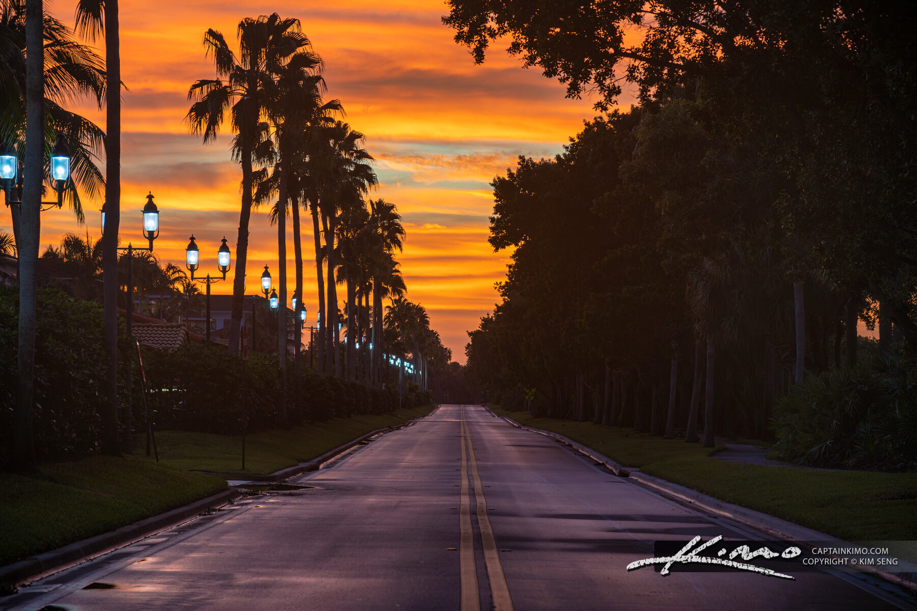Valencia Gardens Ave Day After Hurricane Helen Sunset Palm Beach ...