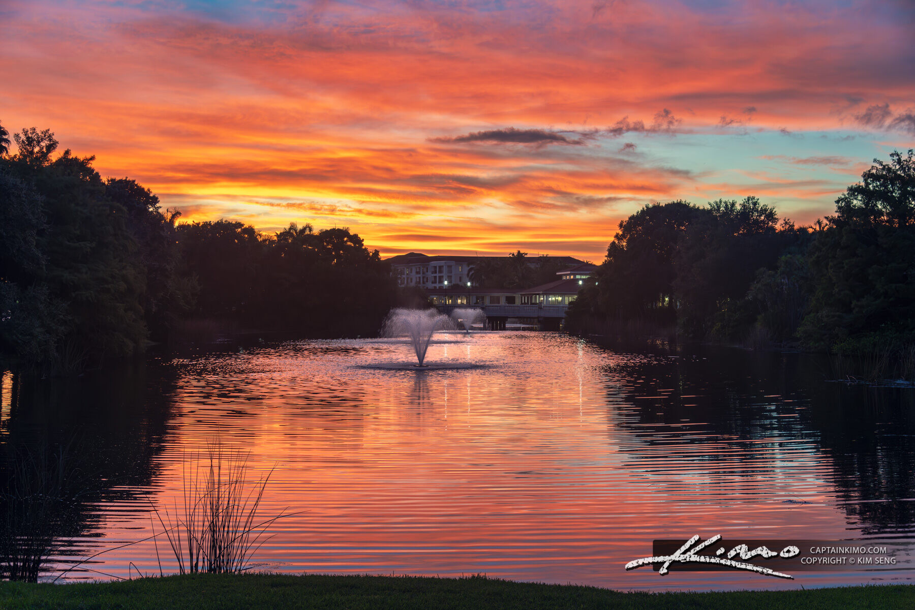 Gallery | Royal Stock Photo