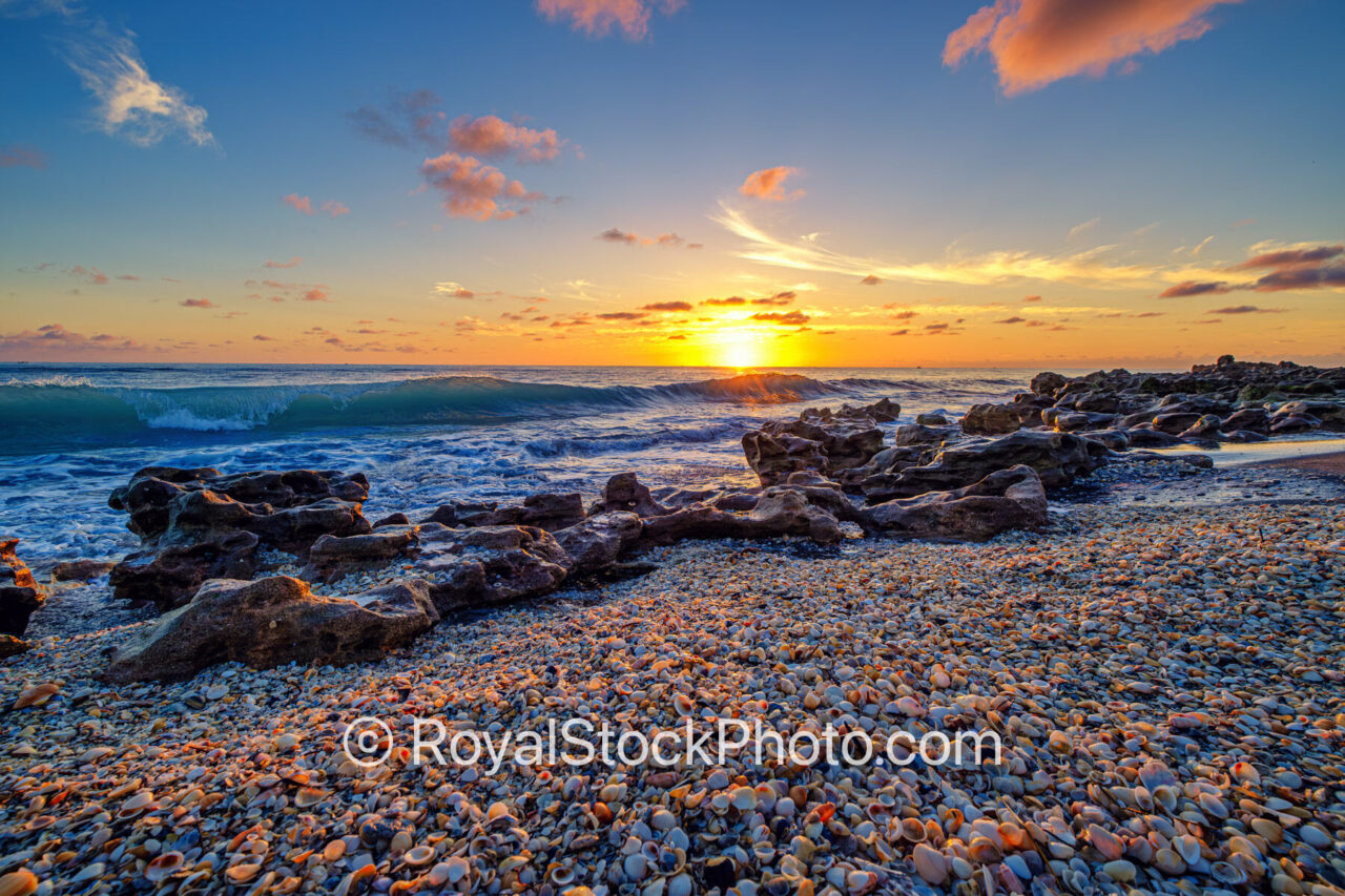 Coral Cove Sunrise with Sea Shells and Wave | Royal Stock Photo